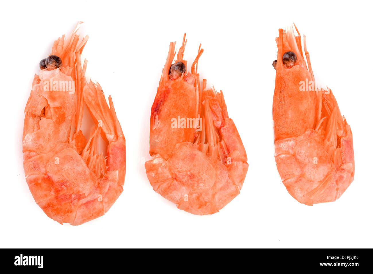 Crevette rouge Banque de photographies et d’images à haute résolution ...