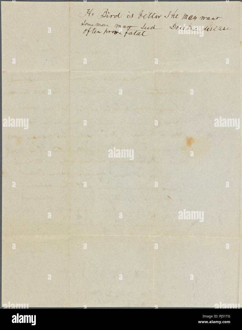 1844 n Banque de photographies et d’images à haute résolution - Alamy