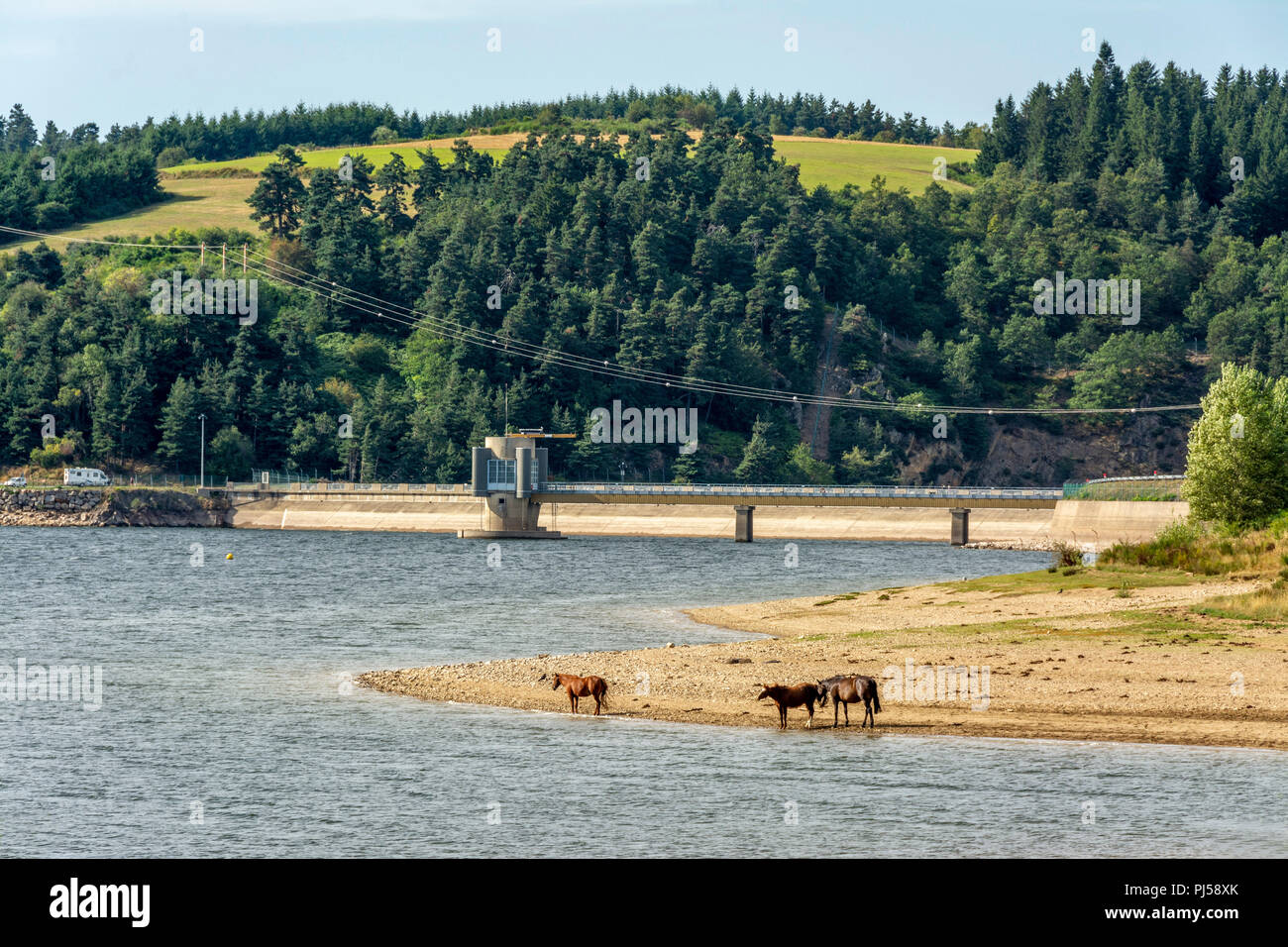 Lake naussac langogne france Banque de photographies et d’images à ...