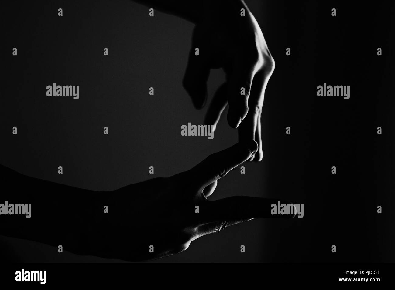 Les parties du corps humain Banque de photographies et d’images à haute ...