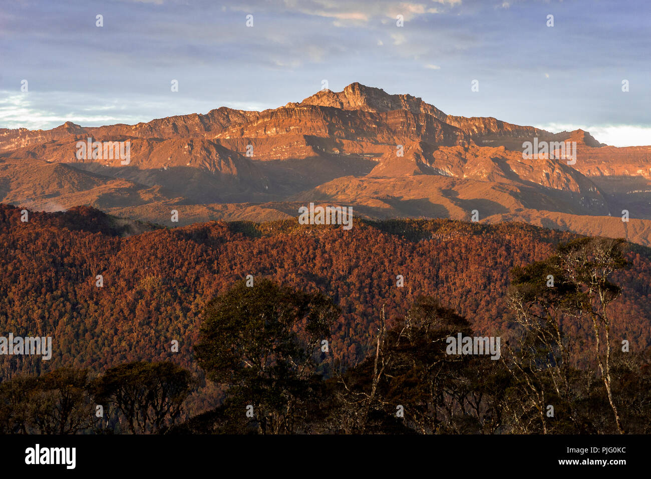Gunung puncak trikora Banque de photographies et d’images à haute ...
