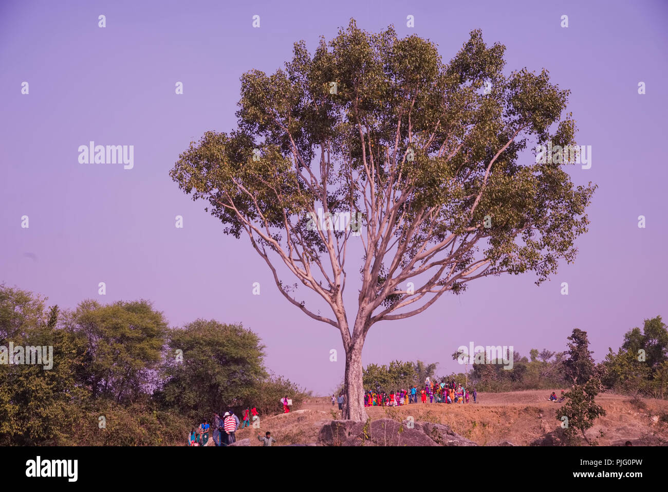 De tushu Banque de photographies et d’images à haute résolution - Alamy