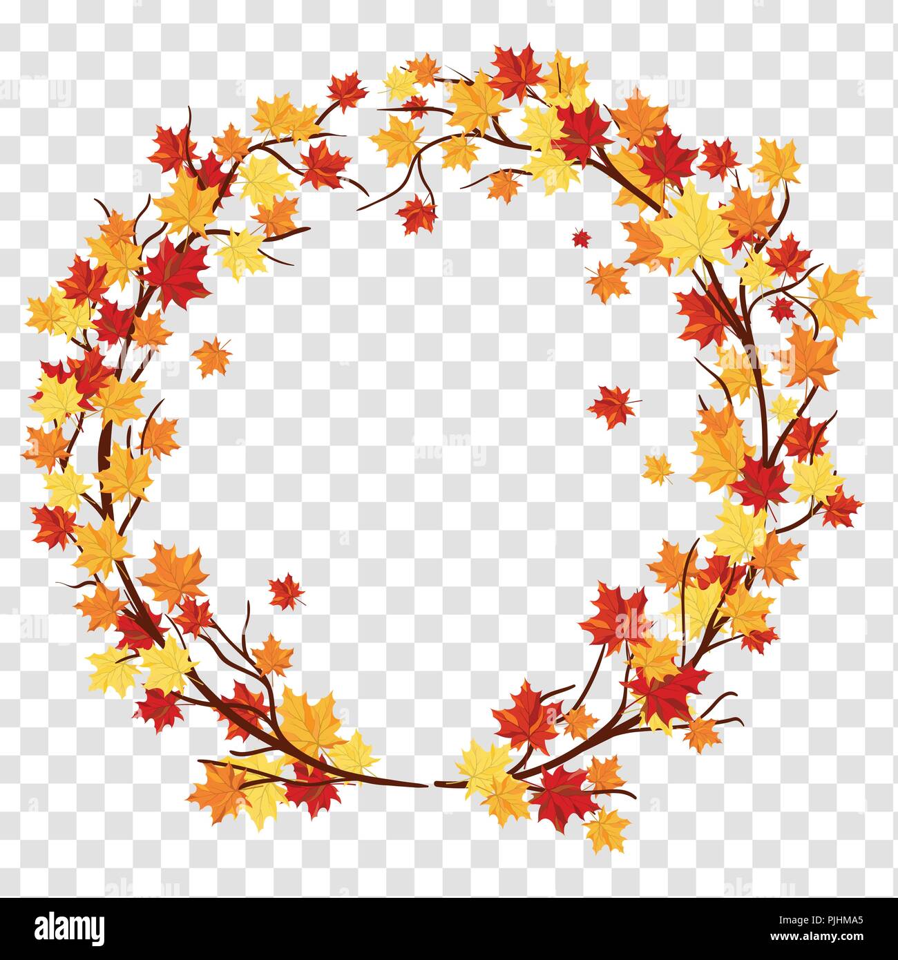 Cadre d'automne à la chute des feuilles d'érable sur la transparence ...