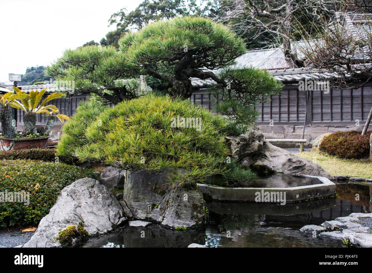 Sengan en jardin de kagoshima au japon Banque de photographies et d ...