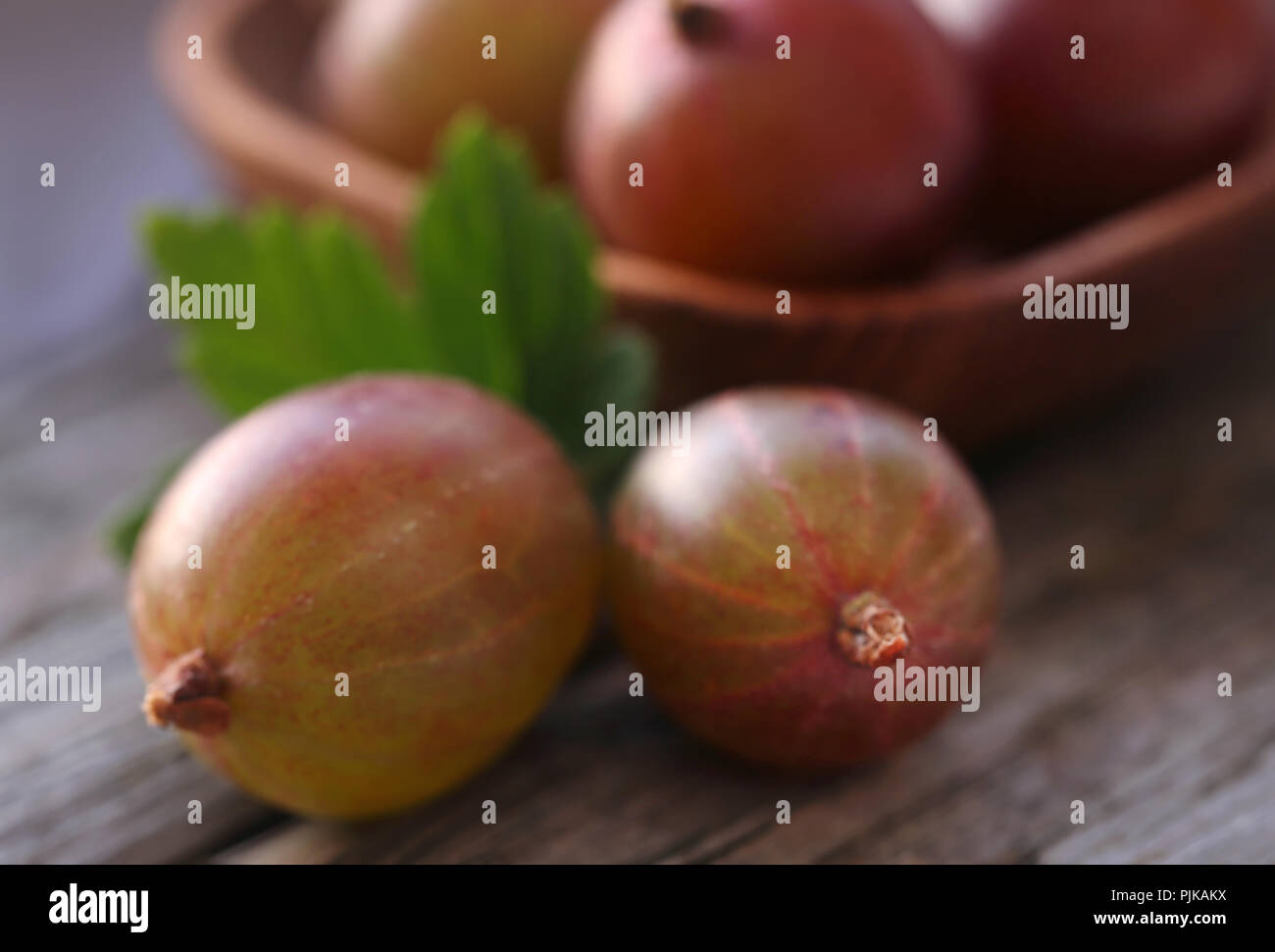 Feuille de groseiller Banque de photographies et d’images à haute ...