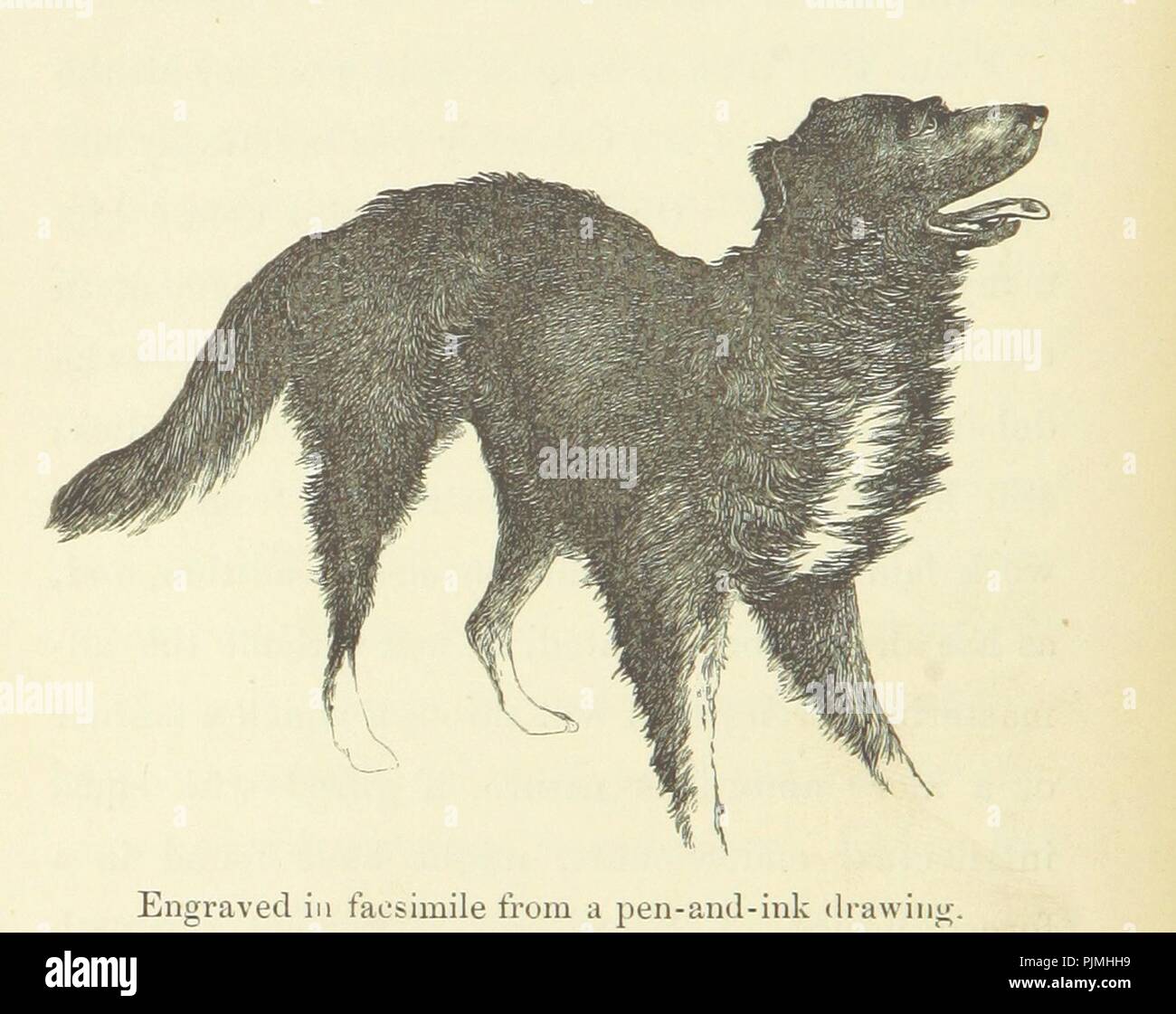 Charles stuart calverley Banque de photographies et d’images à haute ...