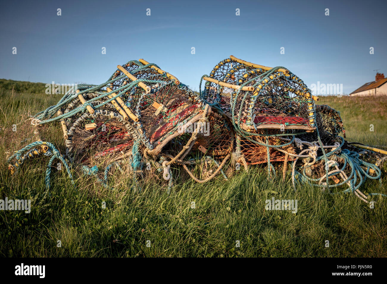 Homard crabes Banque de photographies et d’images à haute résolution ...