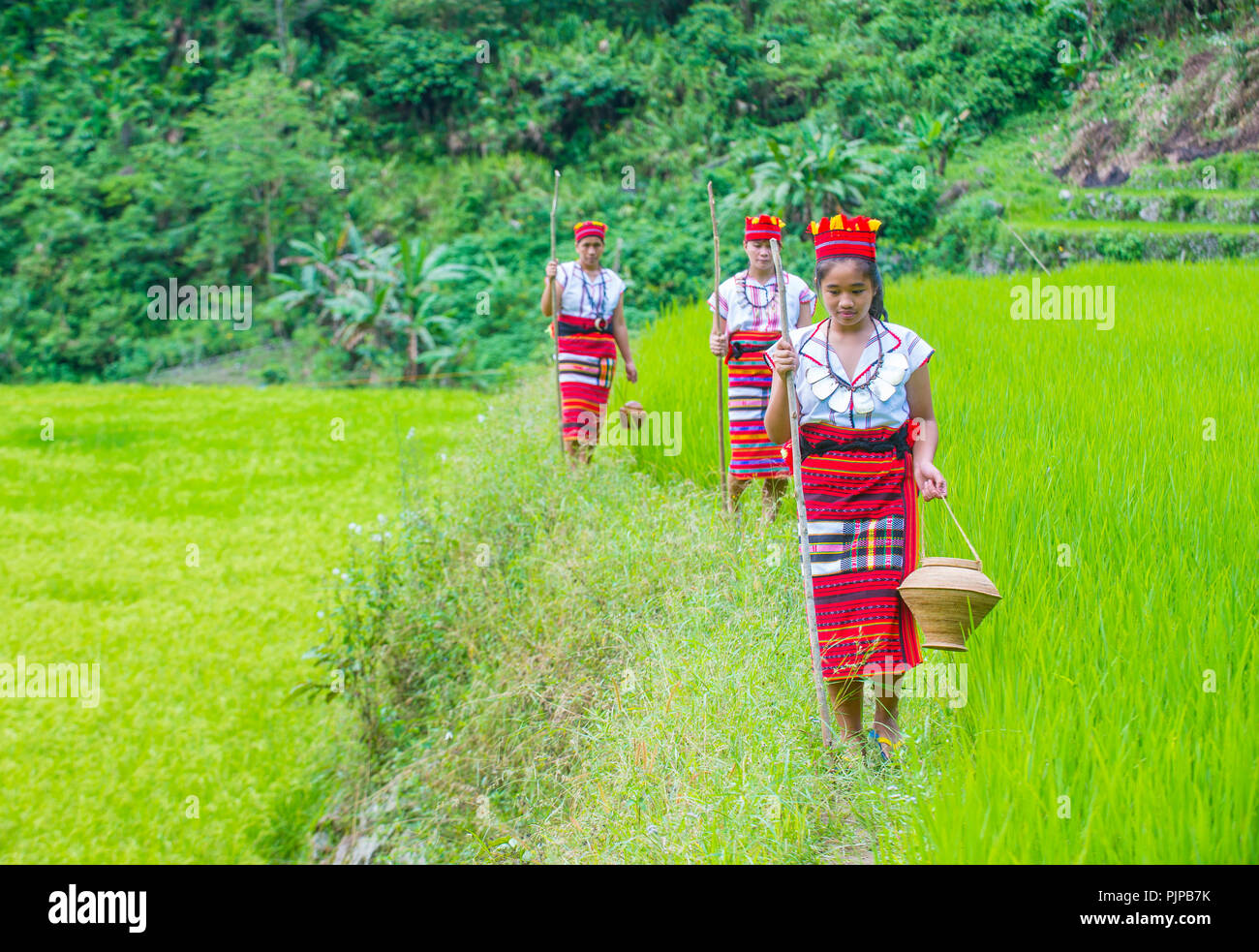 Femmes de la tribu ifugao Banque de photographies et d’images à haute résolution - Alamy