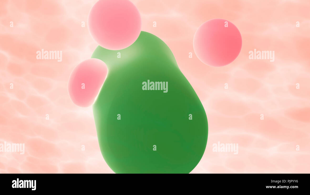 Les lymphocytes b Banque de photographies et d’images à haute ...