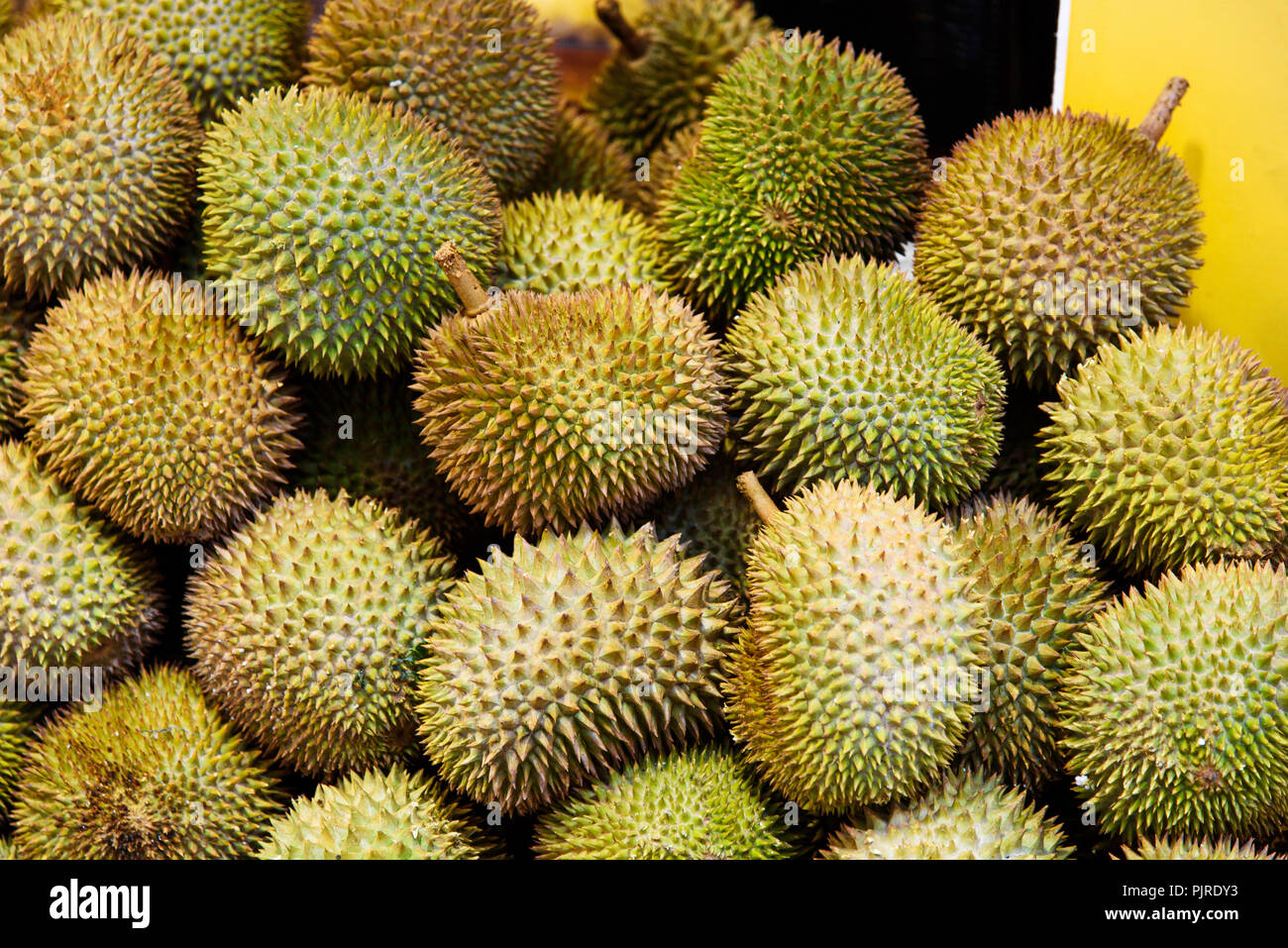 Durian fruit Banque de photographies et d’images à haute résolution - Alamy