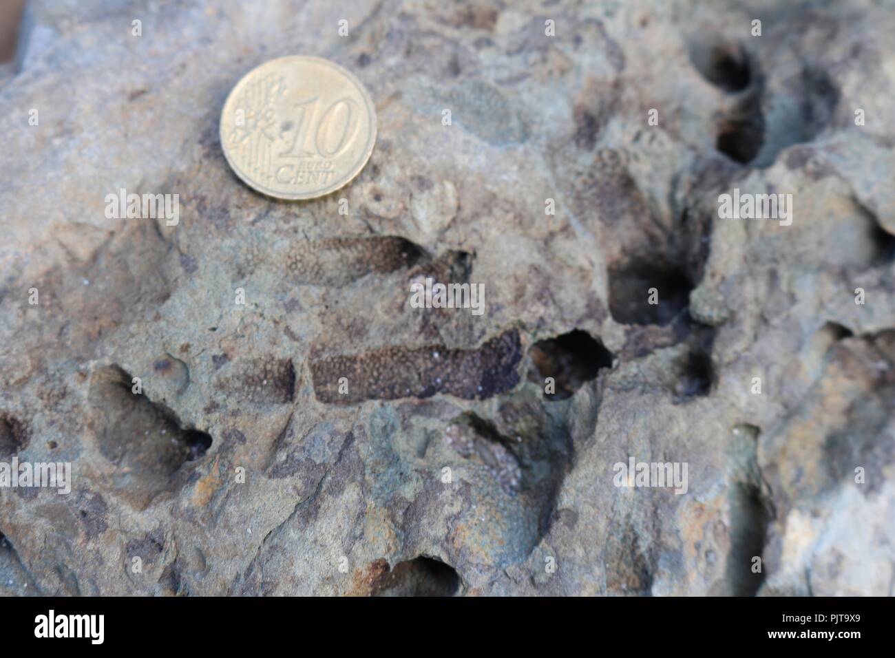 Siltite silurienne Banque de photographies et d’images à haute ...