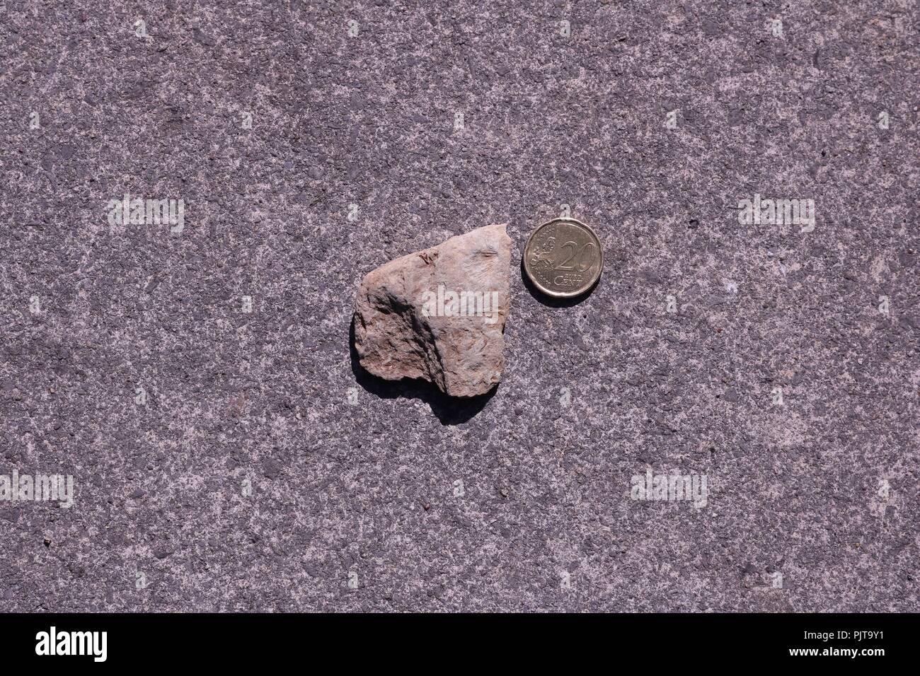 Siltite silurienne Banque de photographies et d’images à haute ...