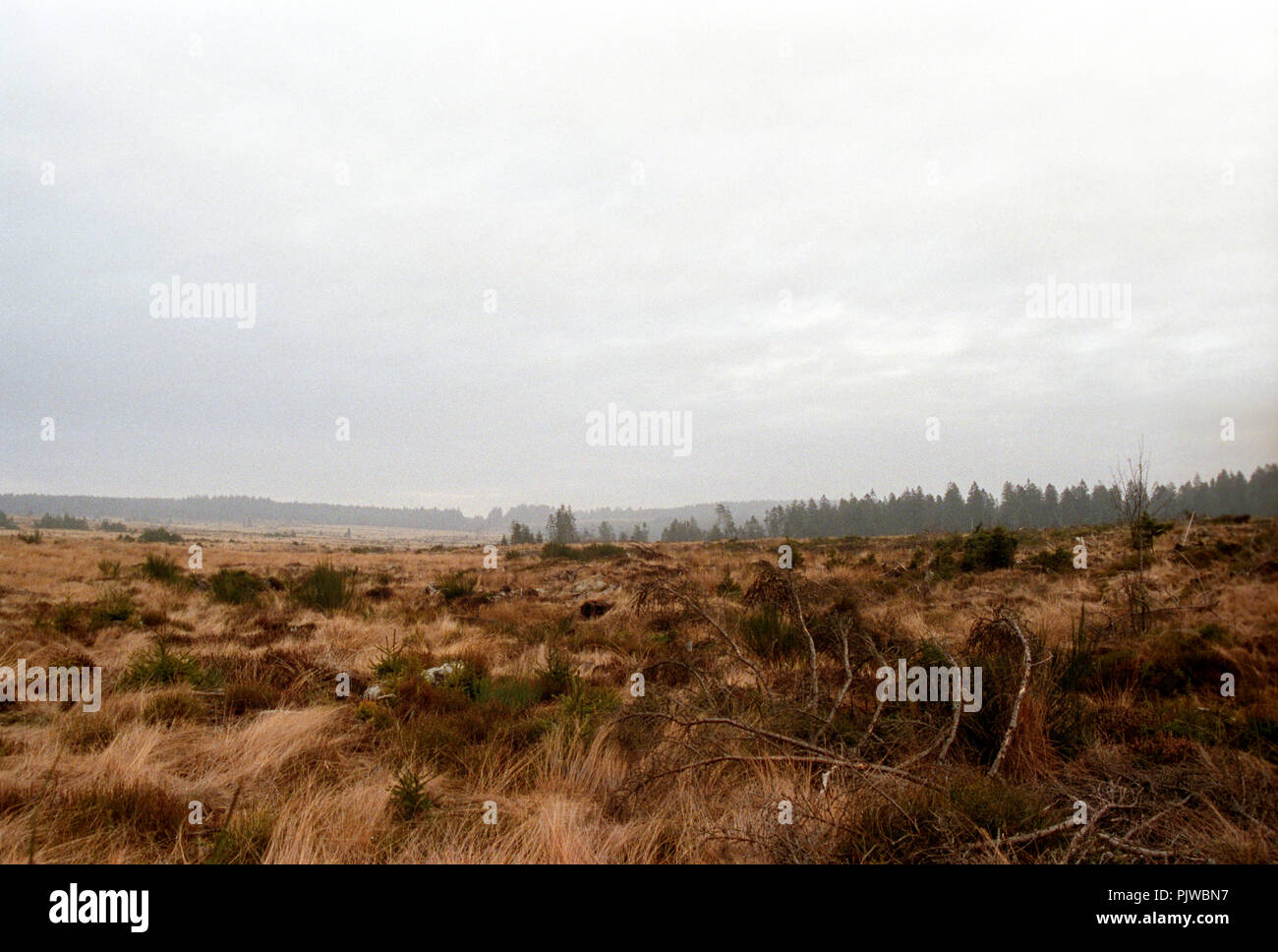 Parc naturel hautes fagnes eifel Banque de photographies et d’images à ...