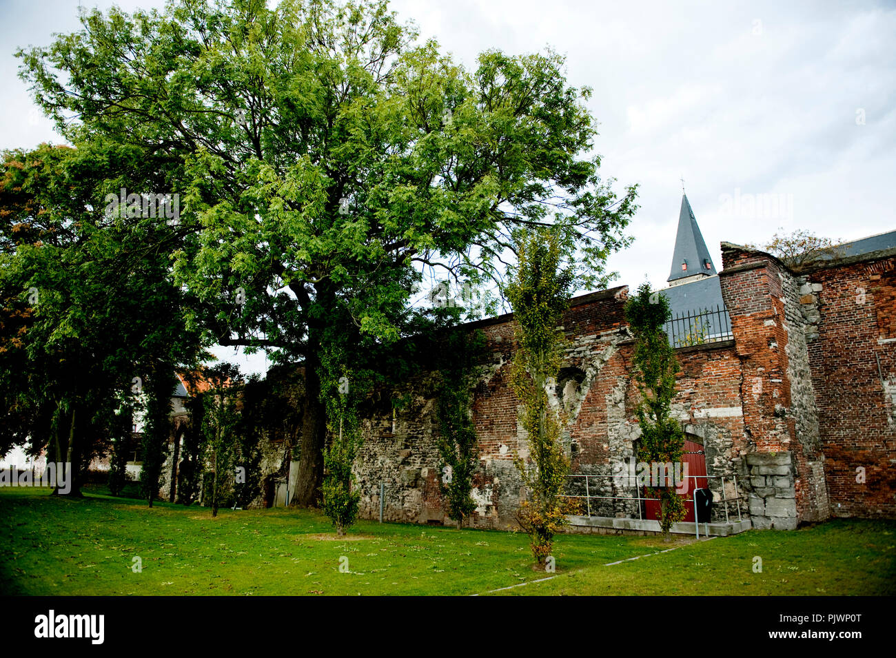 Saint bavon Banque de photographies et d’images à haute résolution - Alamy