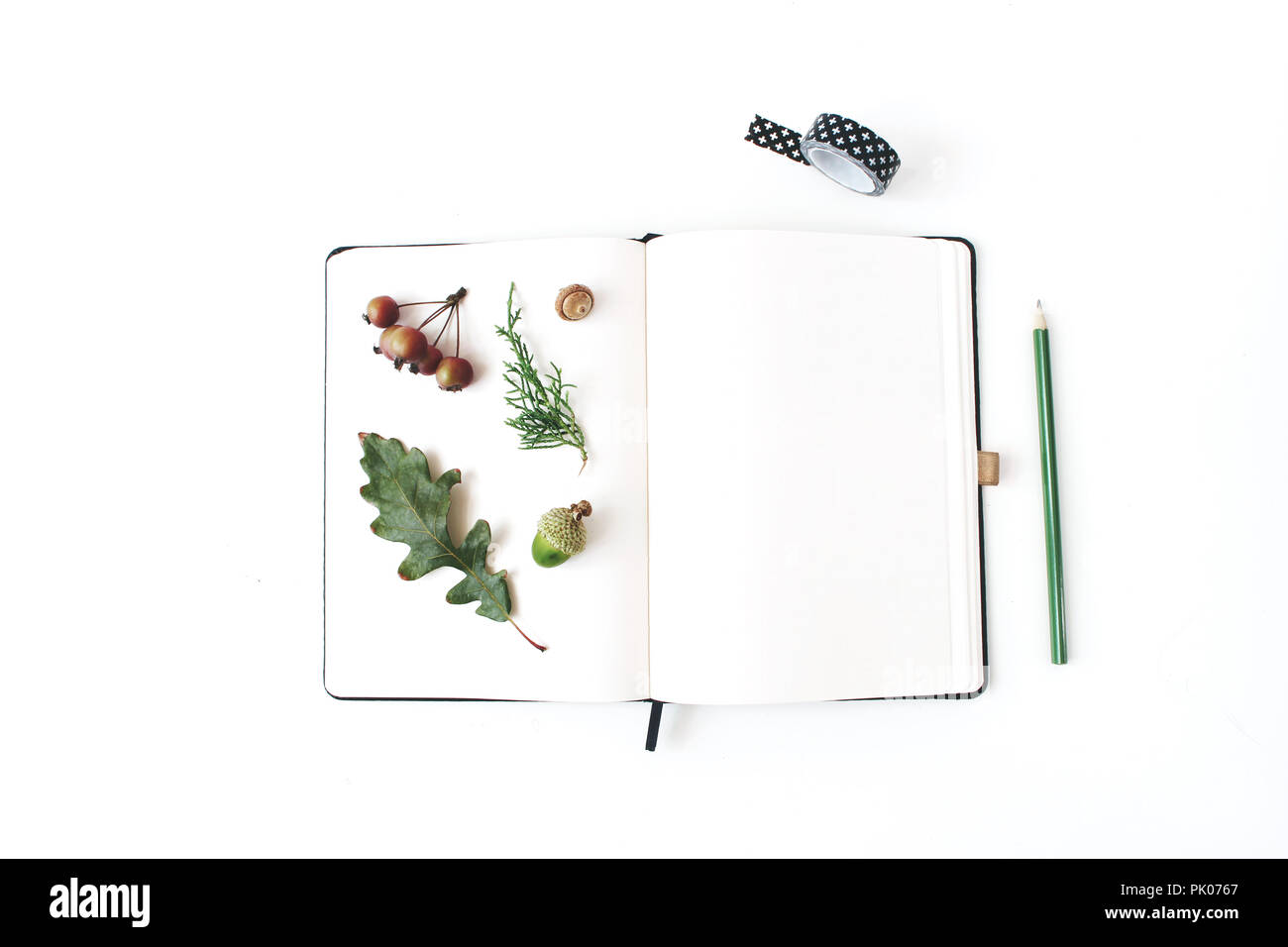 Herbier noir et blanc Banque de photographies et d’images à haute ...