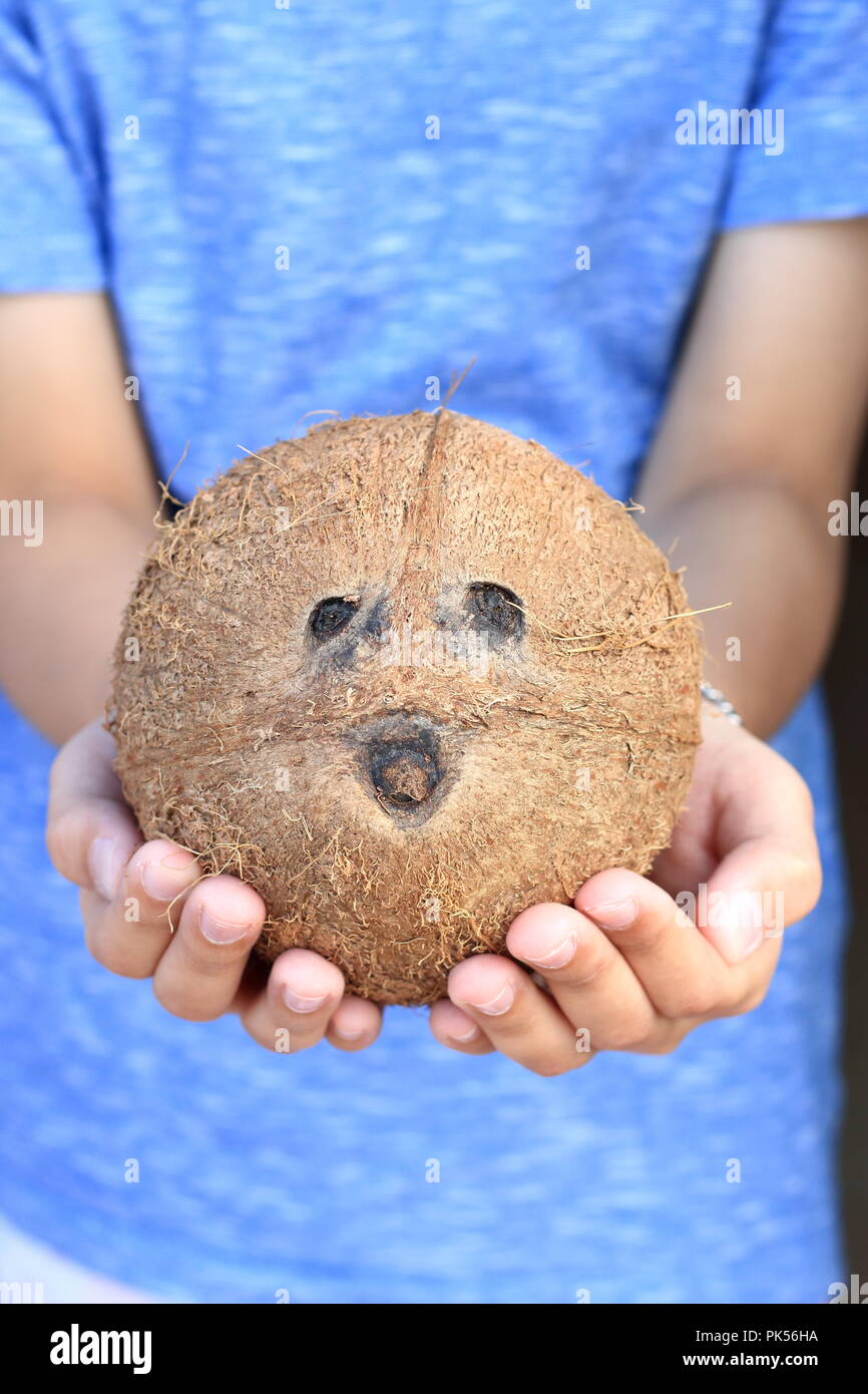 Whole coconut Banque de photographies et d’images à haute résolution ...