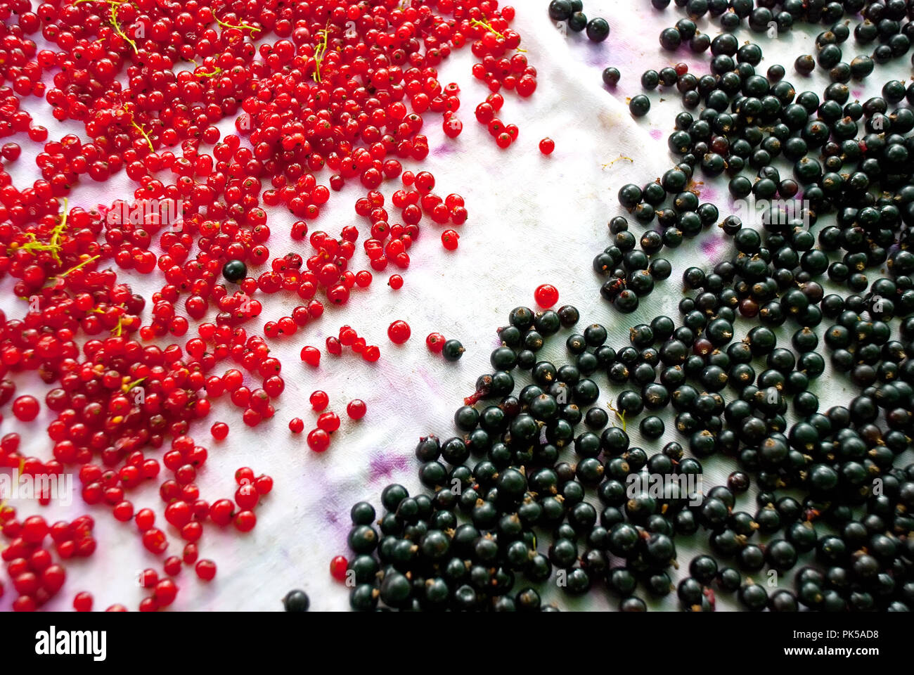 Blanc et cassis Banque de photographies et d’images à haute résolution ...