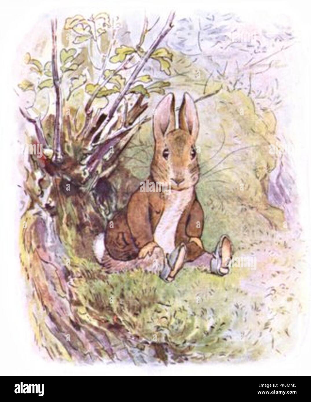 Benjamin bunny Banque de photographies et d’images à haute résolution ...