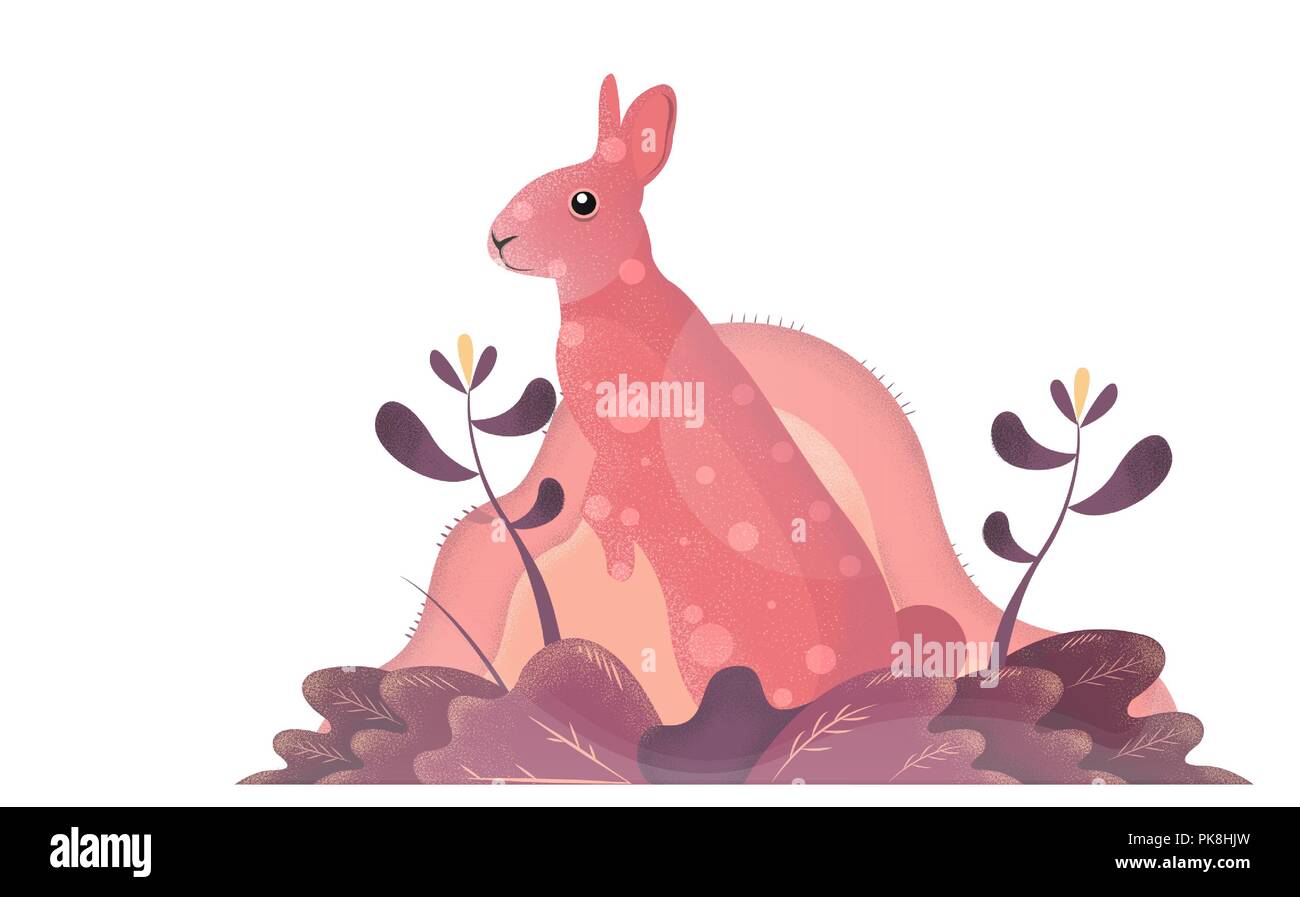 Lapin plat Banque de photographies et d’images à haute résolution - Alamy