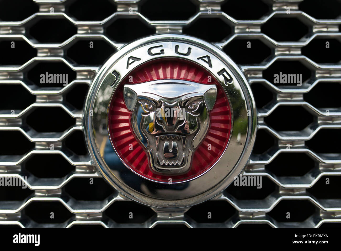 Jaguar symbol Banque de photographies et d’images à haute résolution ...