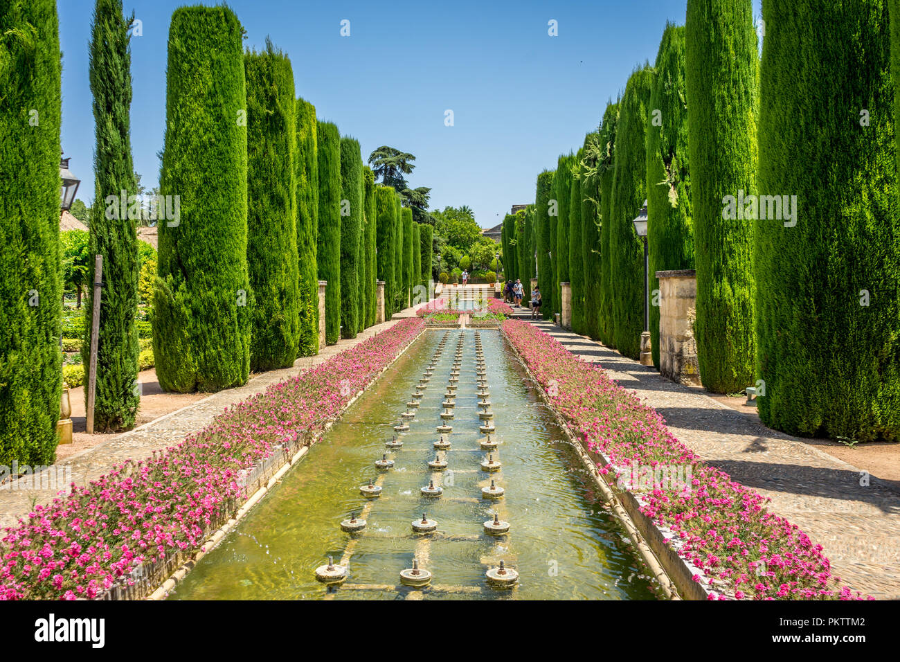 Cordoue, Espagne - 20 juin 2017 : de grands arbres et une fontaine dans ...