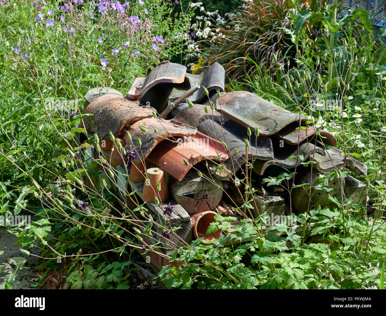 Carreaux rouges dans un jardin d'insectes Banque de photographies et d ...