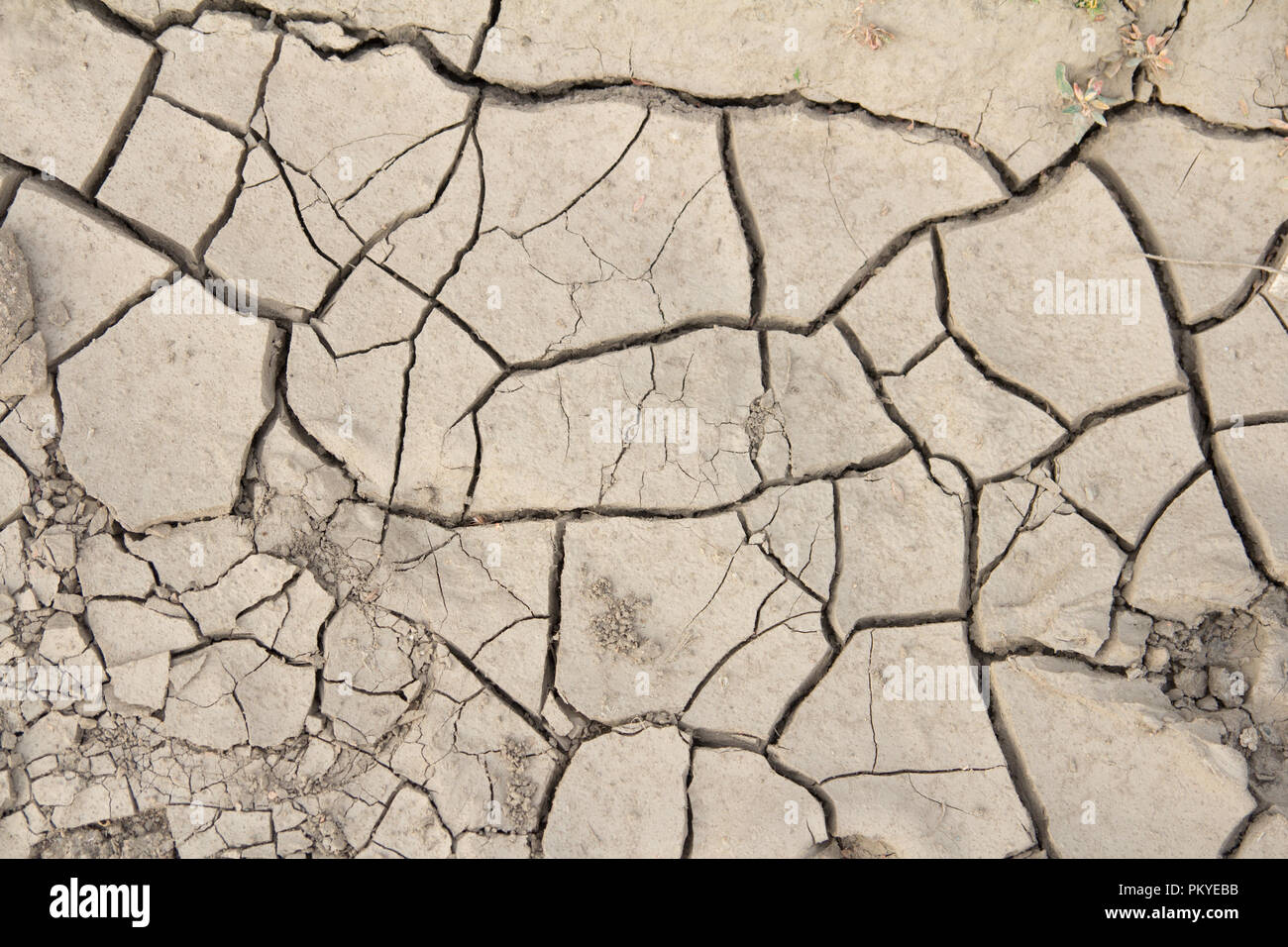 Sol sec fissuré Banque de photographies et d’images à haute résolution ...