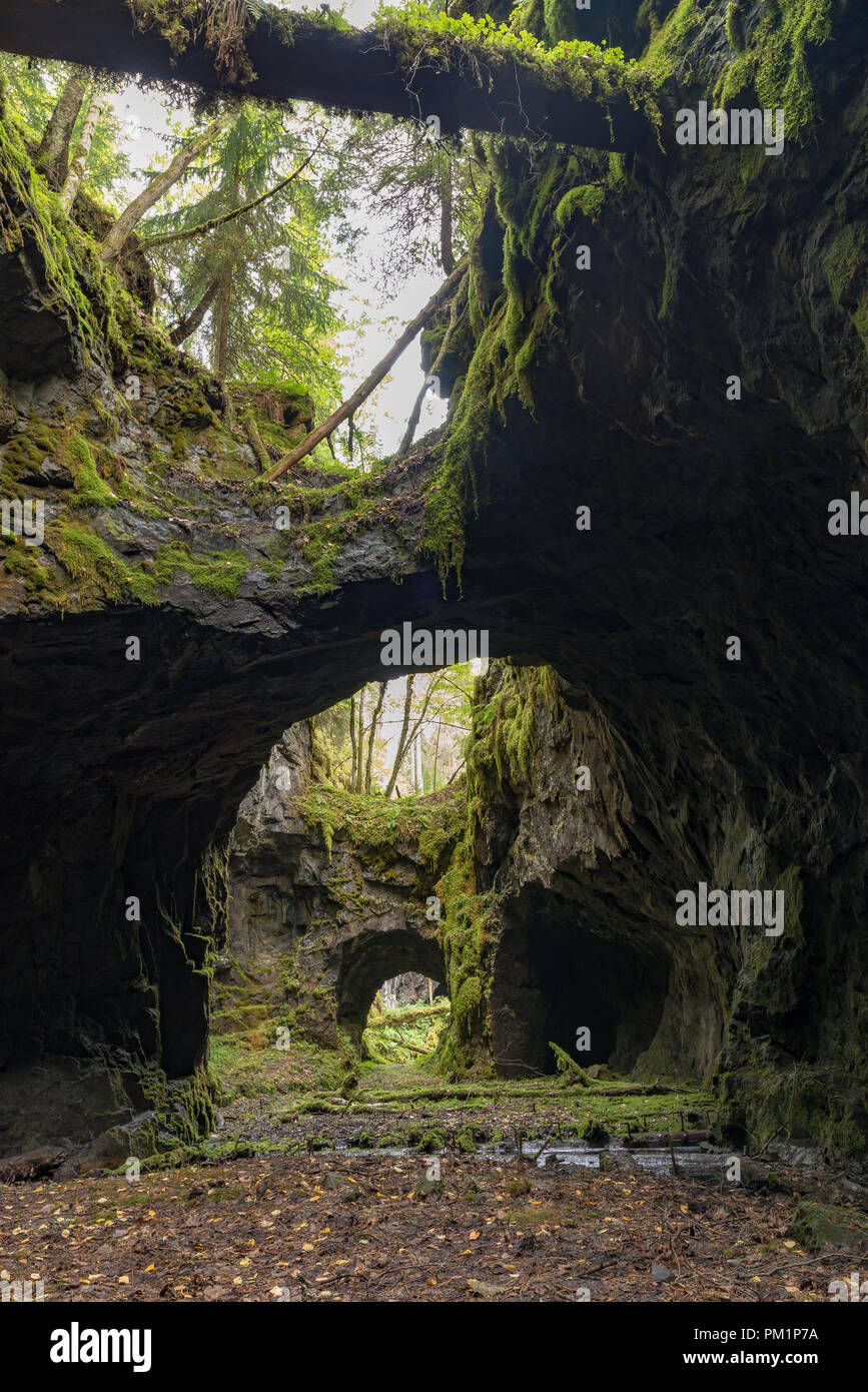 Tilas stoll Banque de photographies et d’images à haute résolution - Alamy
