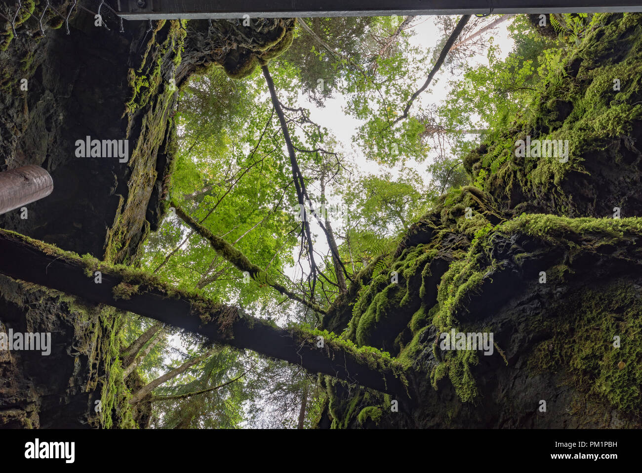 Tilas stoll Banque de photographies et d’images à haute résolution - Alamy