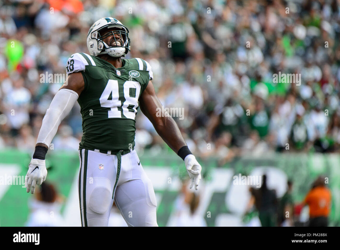 Jordan jenkins Banque de photographies et d’images à haute résolution ...