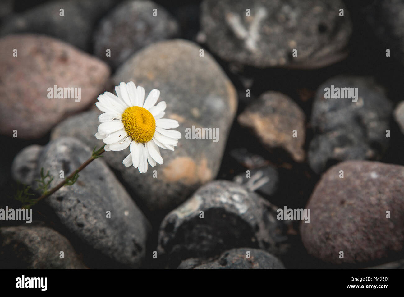 Plage sol Banque de photographies et d’images à haute résolution - Alamy