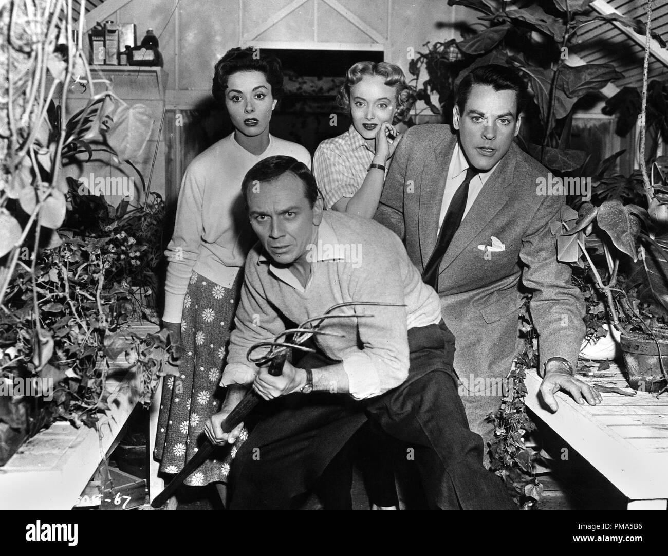 Corps de donovan Banque de photographies et d’images à haute résolution ...