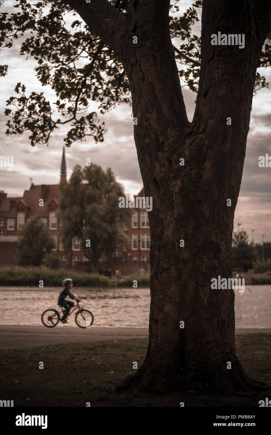Arbre triste Banque de photographies et d’images à haute résolution - Alamy
