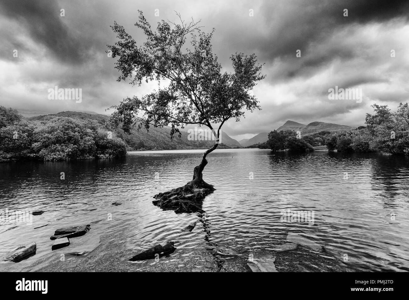 Parc pays padarn Banque de photographies et d’images à haute résolution ...