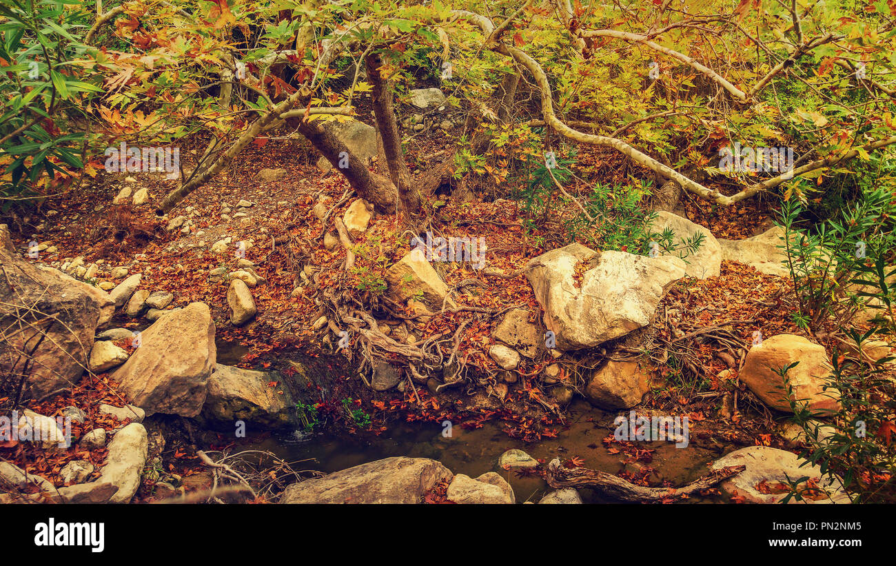 Paysage naturel magnifique dans l'Avakas canyon à Chypre. Parc national ...