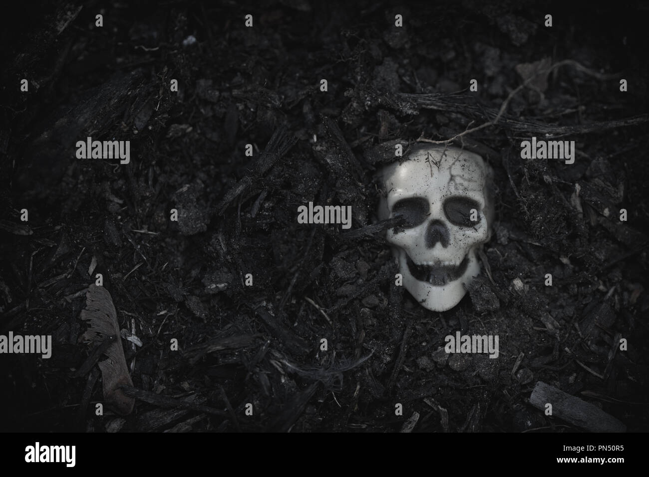 Corps mort au sol Banque de photographies et d’images à haute ...