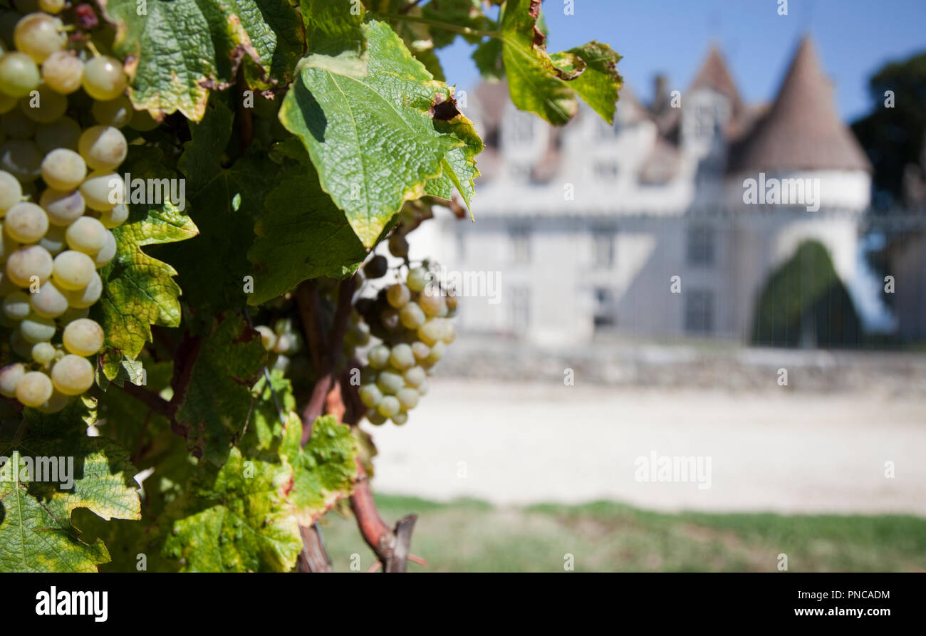 Le chateau de monbazillac Banque de photographies et d’images à haute ...