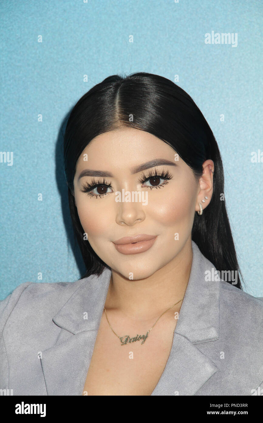 06 daisy Banque de photographies et d’images à haute résolution - Alamy