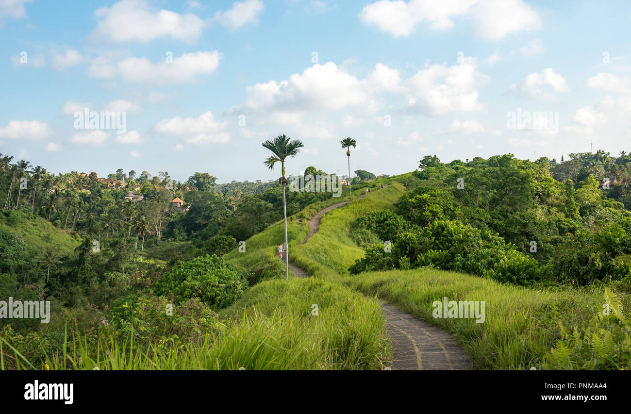 Chemin pavé Banque de photographies et d’images à haute résolution - Alamy