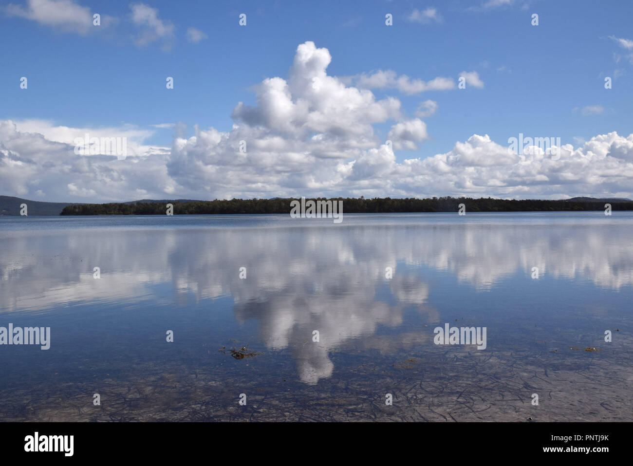 Booti booti national park Banque de photographies et d’images à haute ...