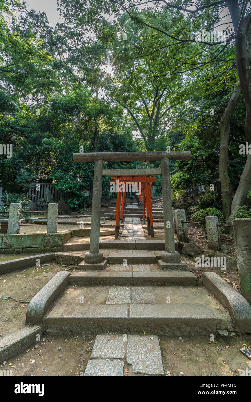 Myojin torii Banque de photographies et d’images à haute résolution - Alamy