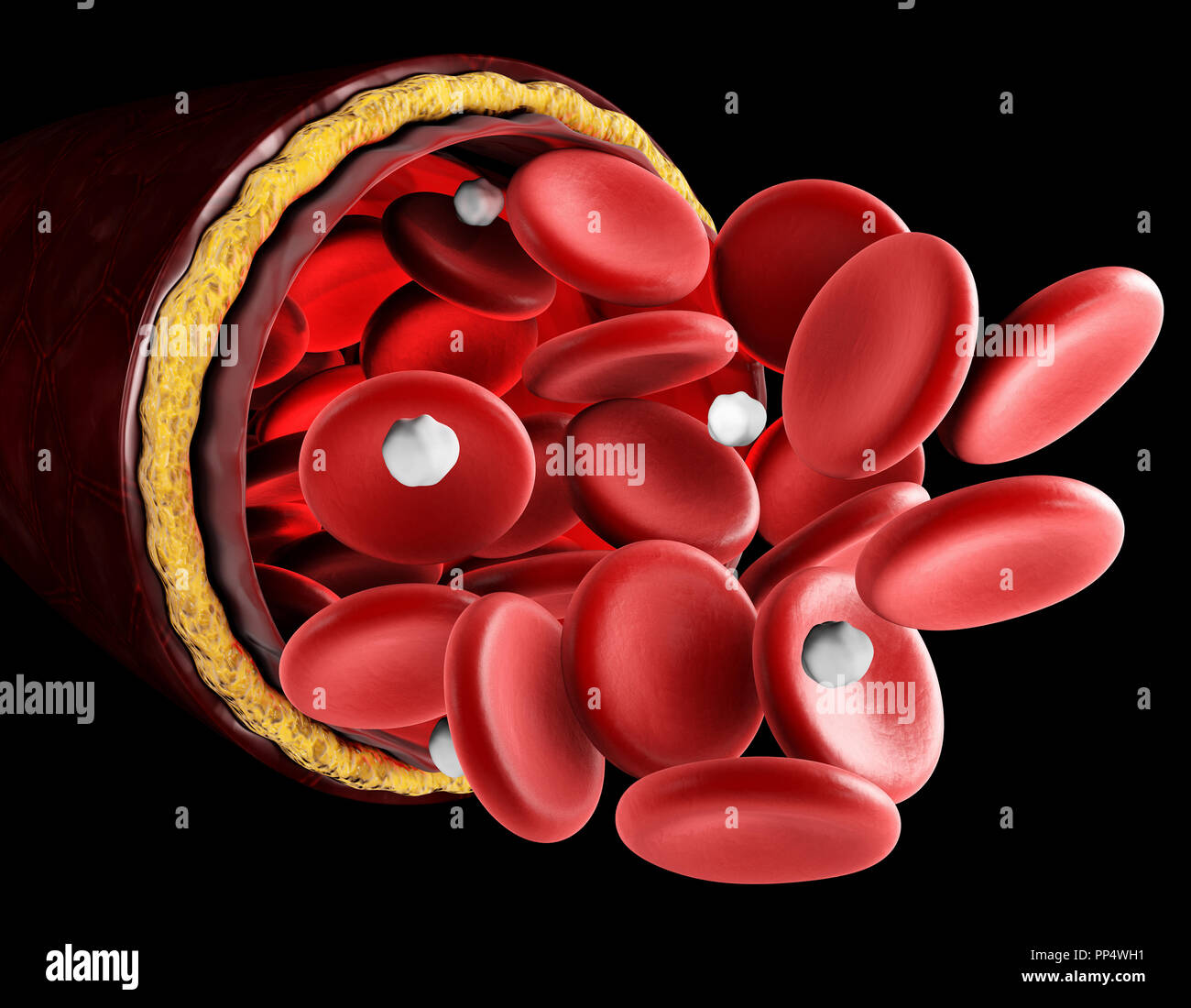 Vaisseau pulmonaire Banque de photographies et d’images à haute ...