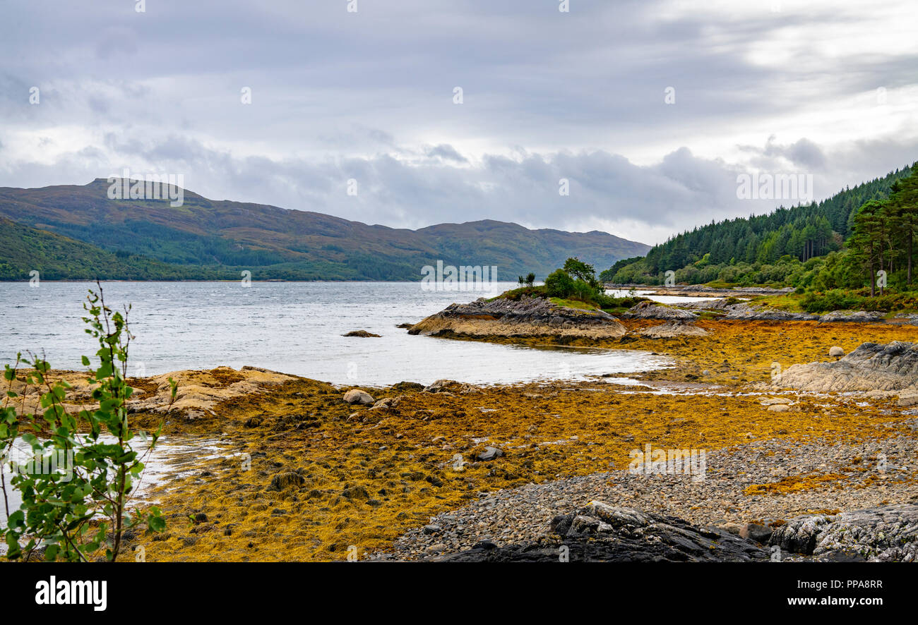 Loch sunart Banque de photographies et d’images à haute résolution - Alamy