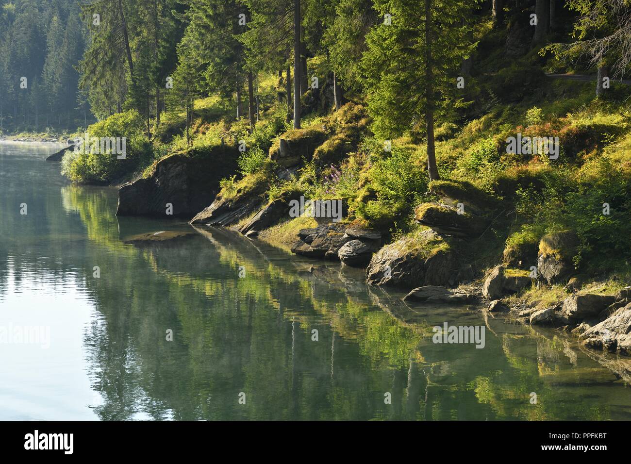 Le lac de Cauma, lac de baignade dans la grande forêt de Flims, Laax ...