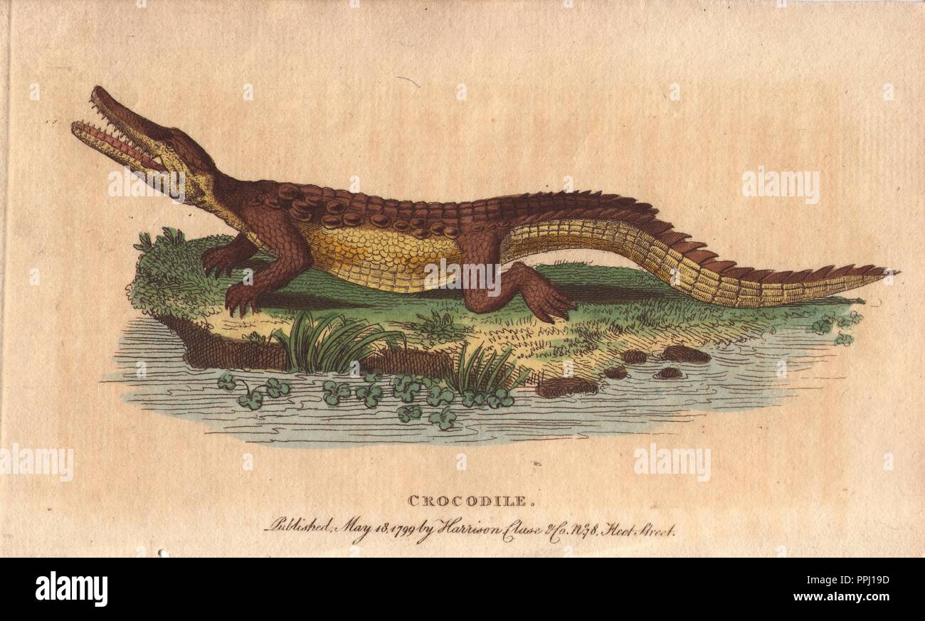 St george dragon engraving Banque de photographies et d’images à haute ...