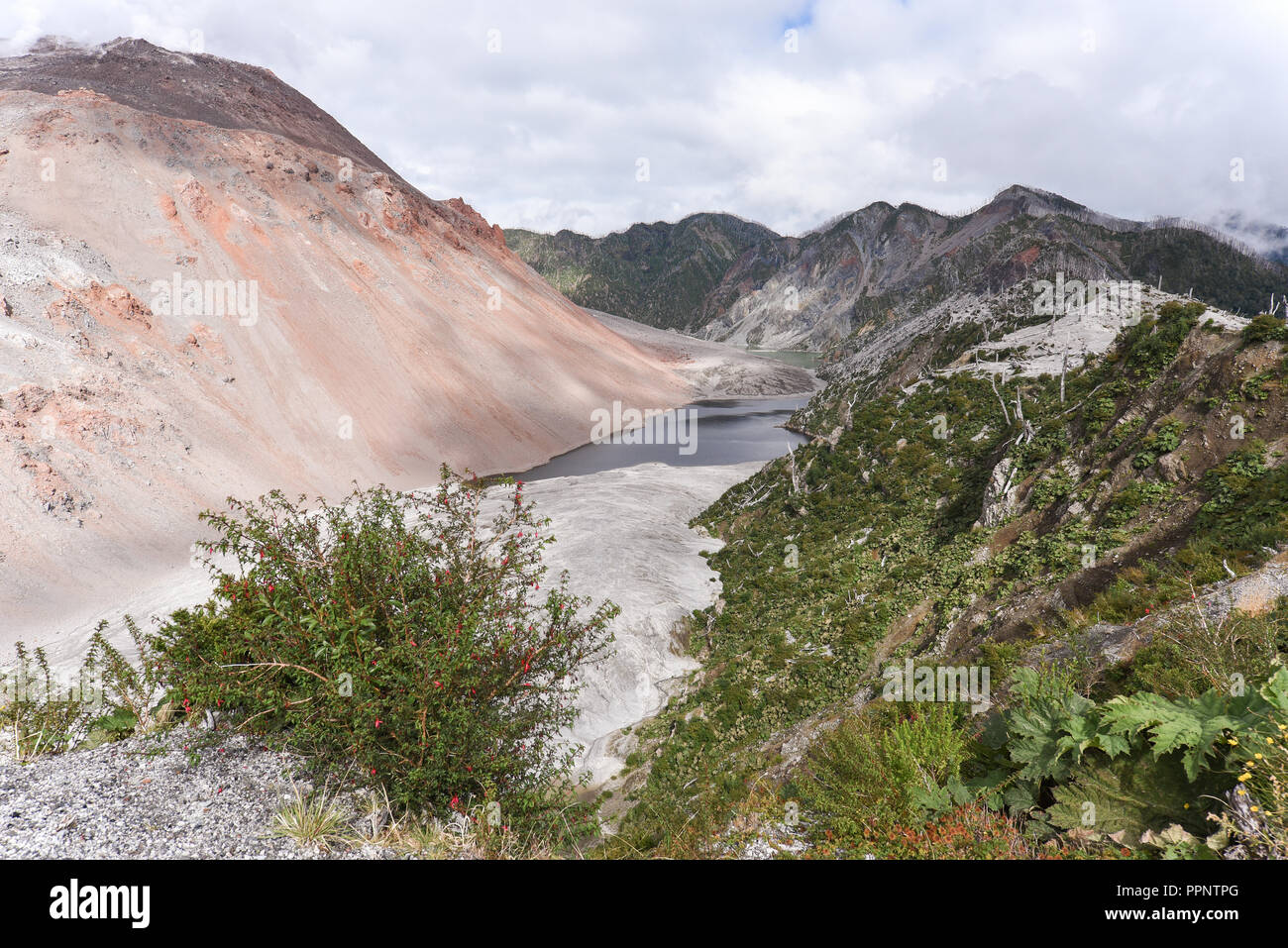Vue depuis le cratère du volcan Chaitén sur éruption volcanique détruit ...