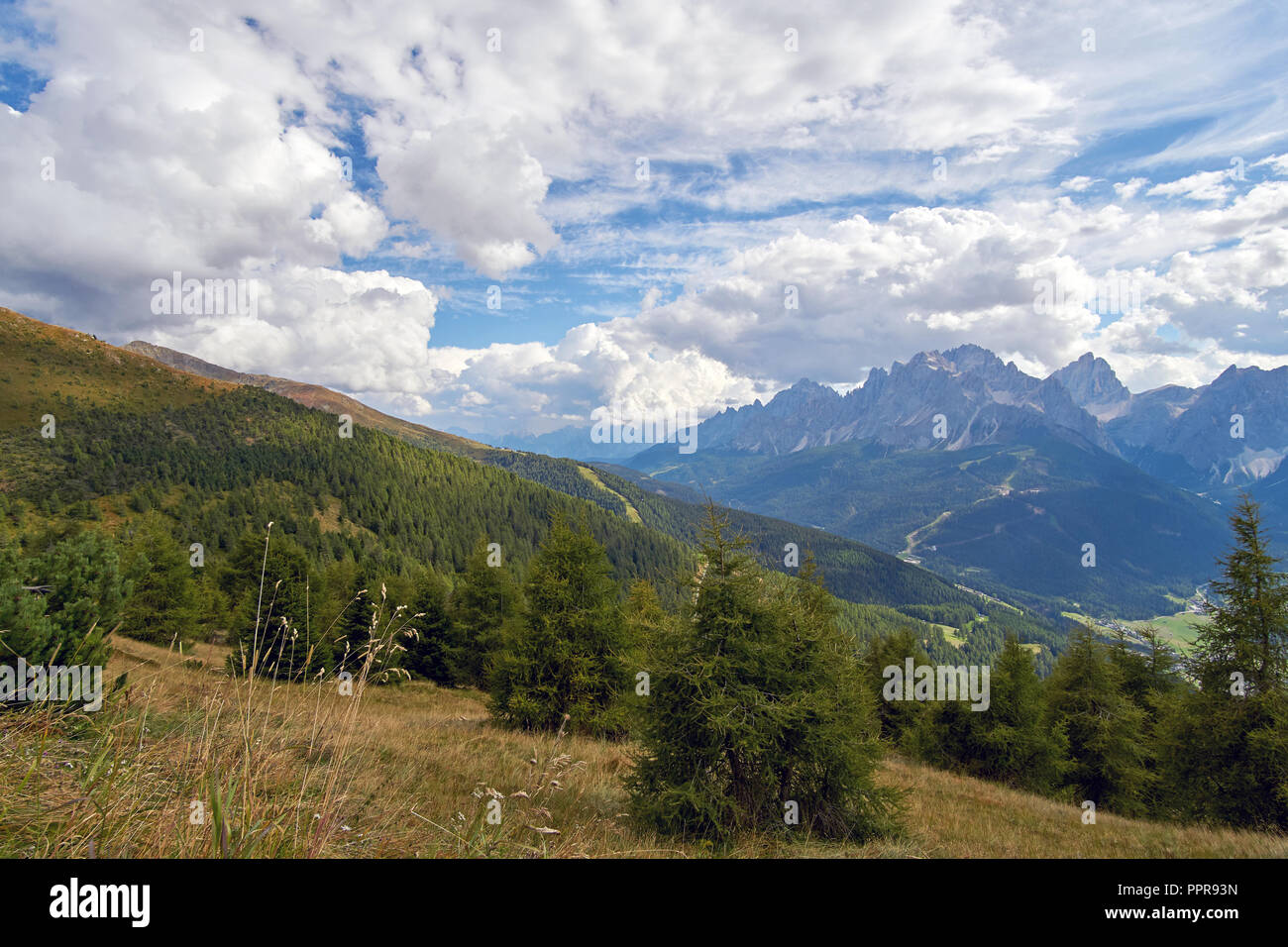 Alpi carniche Banque de photographies et d’images à haute résolution ...