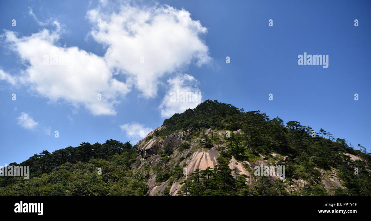 Paysages jaunes Banque de photographies et d’images à haute résolution ...