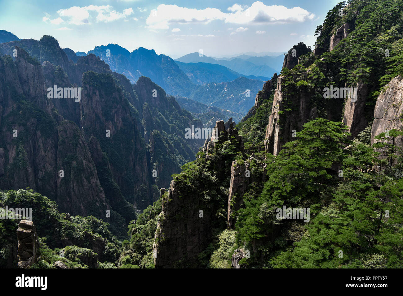 Paysages jaunes Banque de photographies et d’images à haute résolution ...