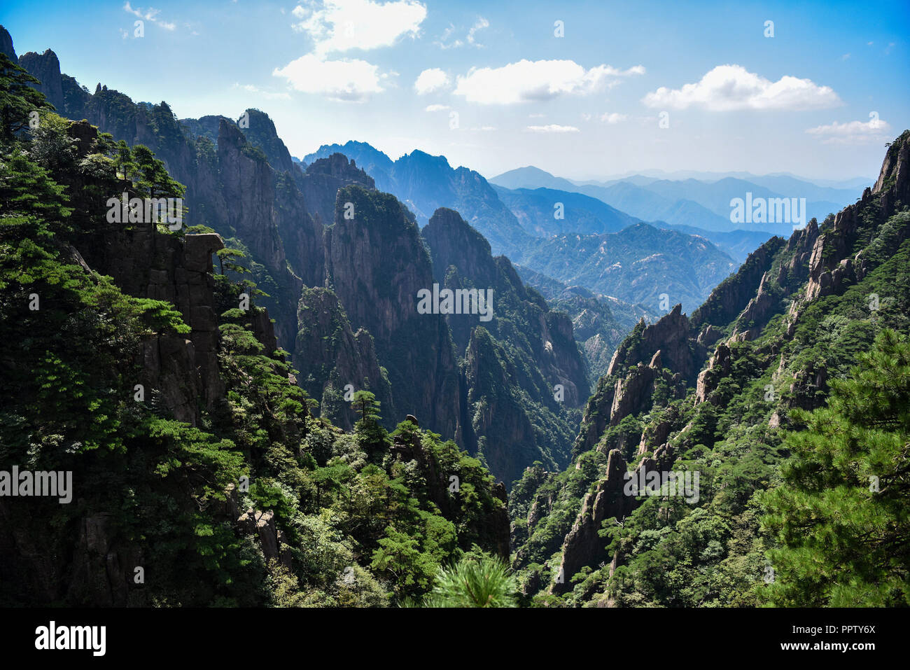 Paysages jaunes Banque de photographies et d’images à haute résolution ...
